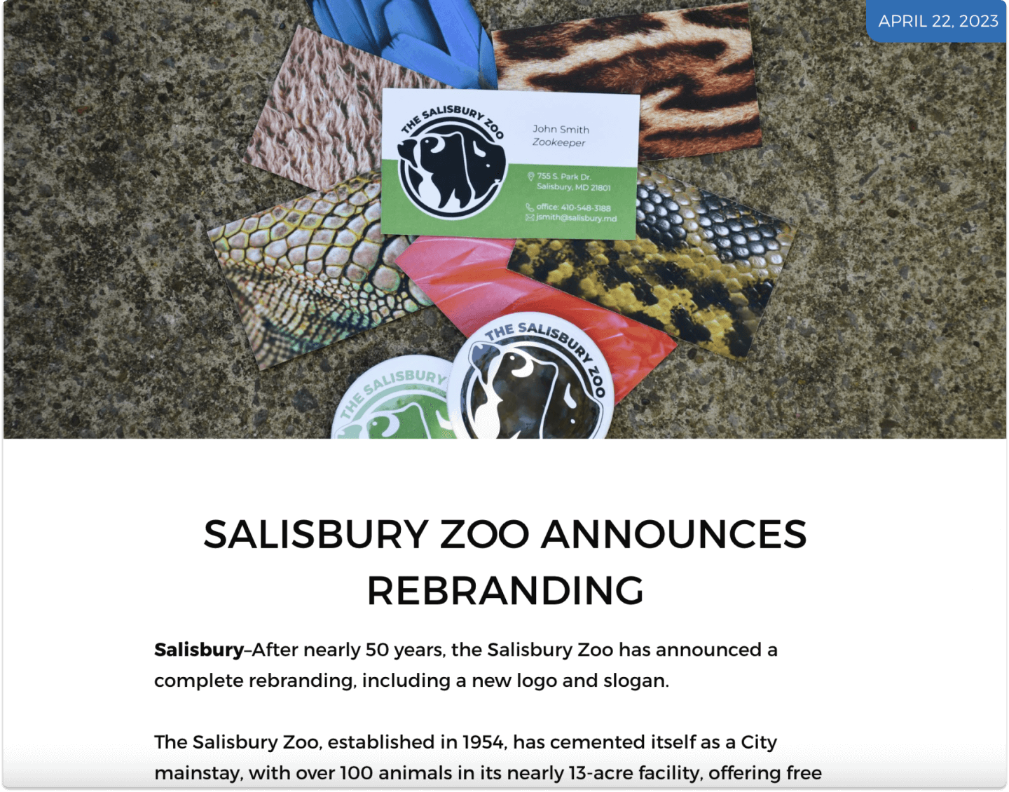 How to Write a Rebraning Press Release (Examples & Template)